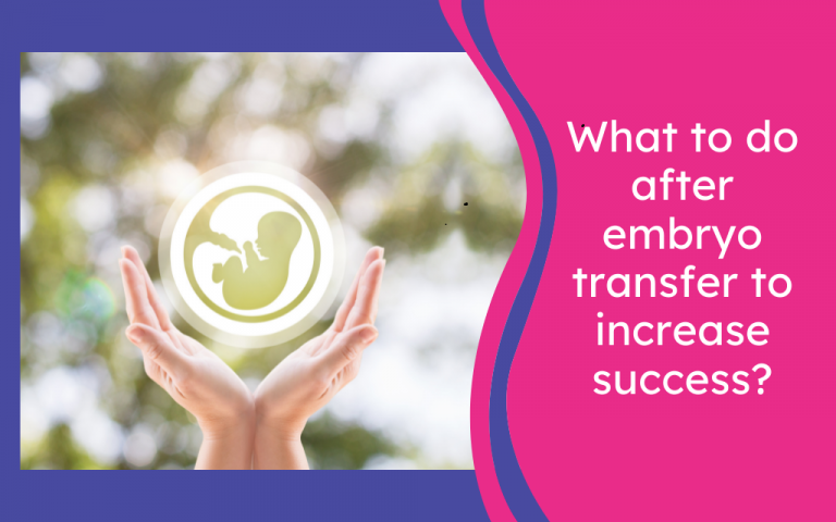 What To Do After Embryo Transfer To Increase Success?
